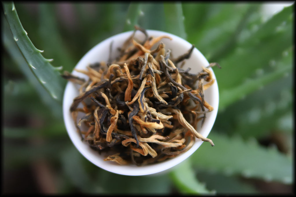 Goldfinch, Spring 2025 – Whispering Pines Tea Company